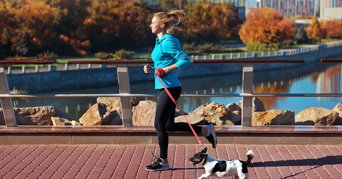 These are the 5 best dog breeds for runners | PawTracks