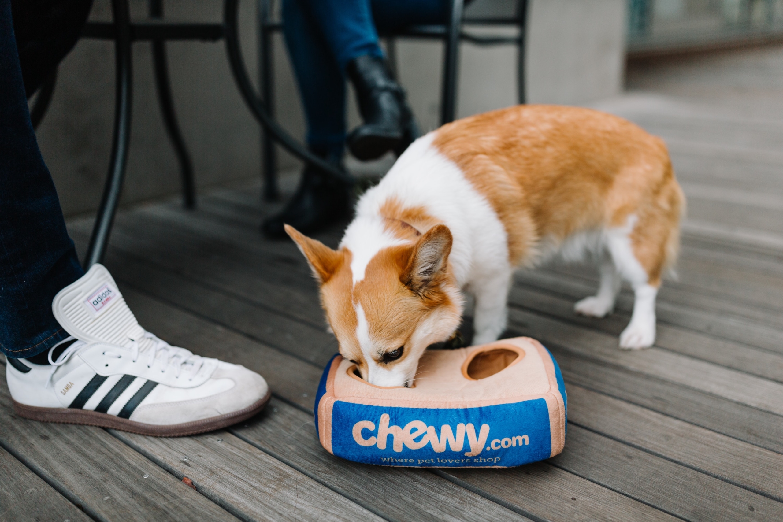 Chewy is having a huge early cyber sale, and your dog and cat will ...