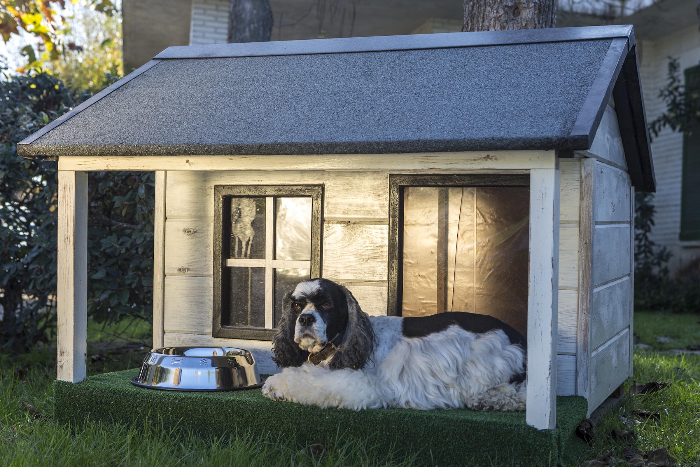 Good, Better, Best: Doghouses Worth Spending Some Of Your Stimulus ...