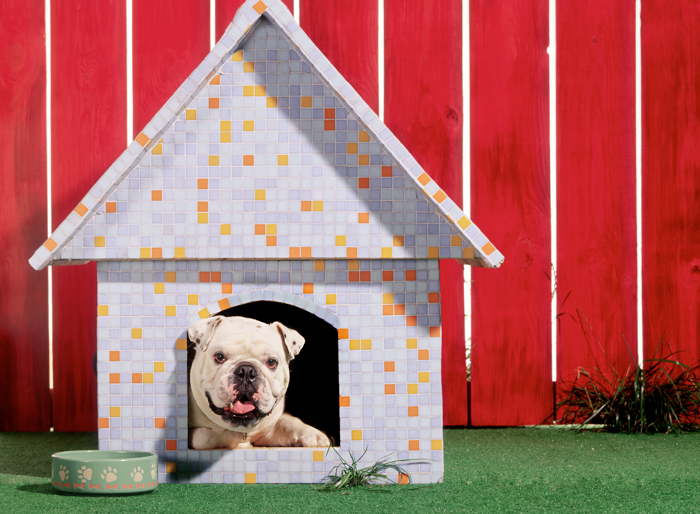 Adorable Dog House Designs: Your Pet Deserves A Unique Space, Too ...