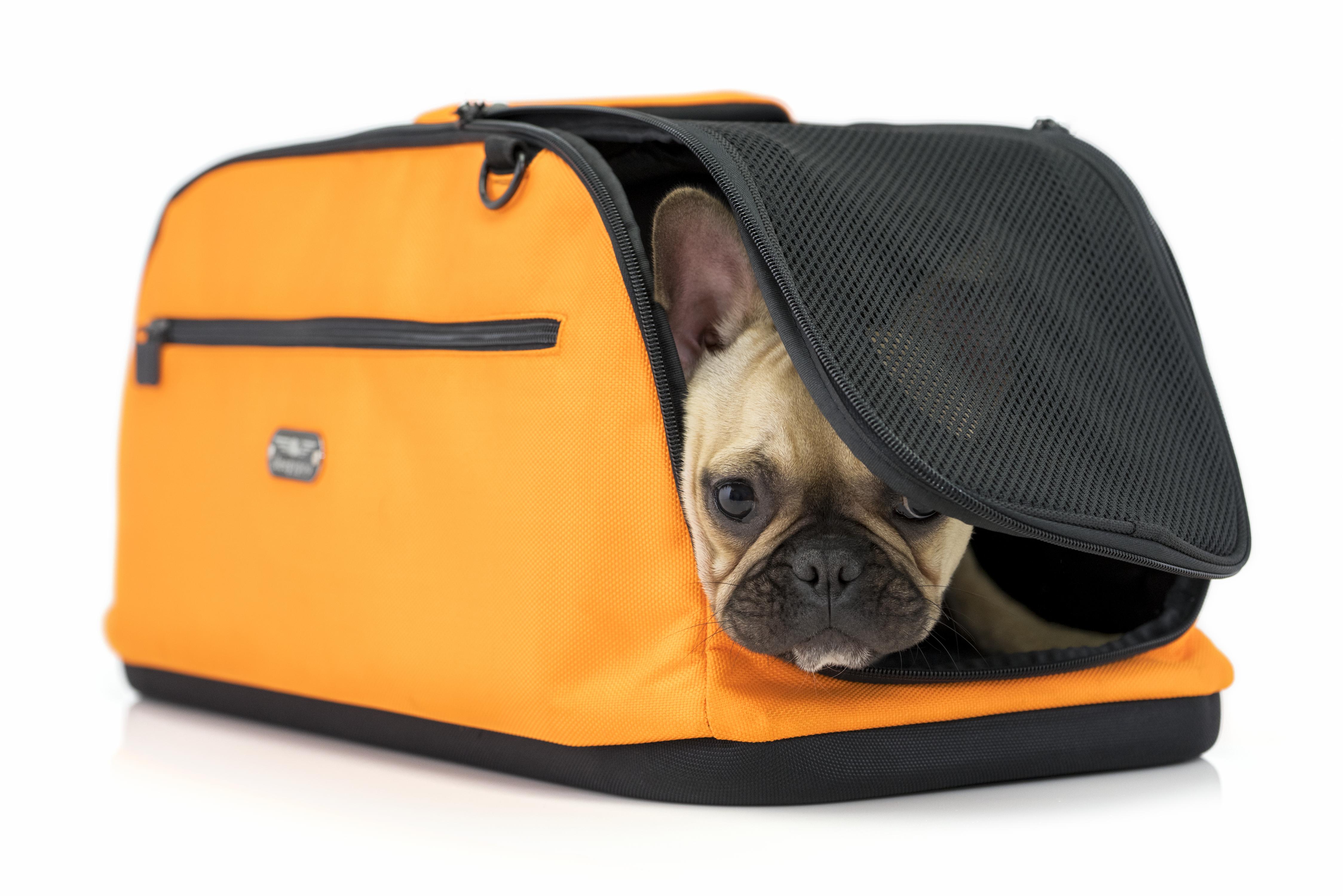 How To Choose The Best Pet Carrier For Your Dog Or Cat PawTracks How To Choose The Best Pet Carrier For Your Dog Or Cat PawTracks