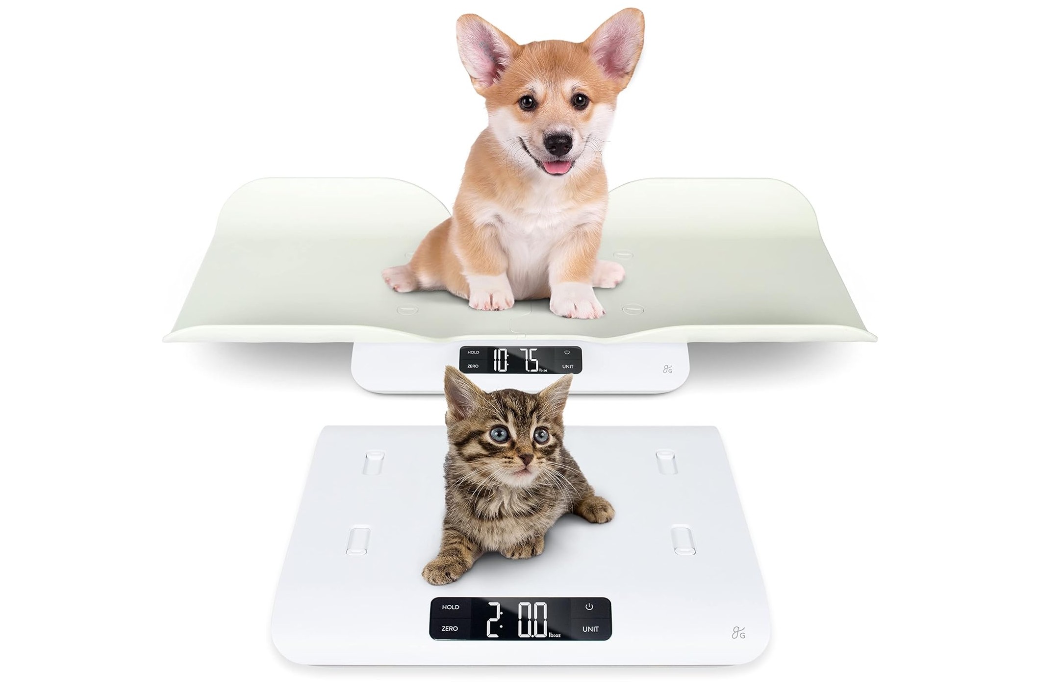 The best pet scales of 2024 | PawTracks