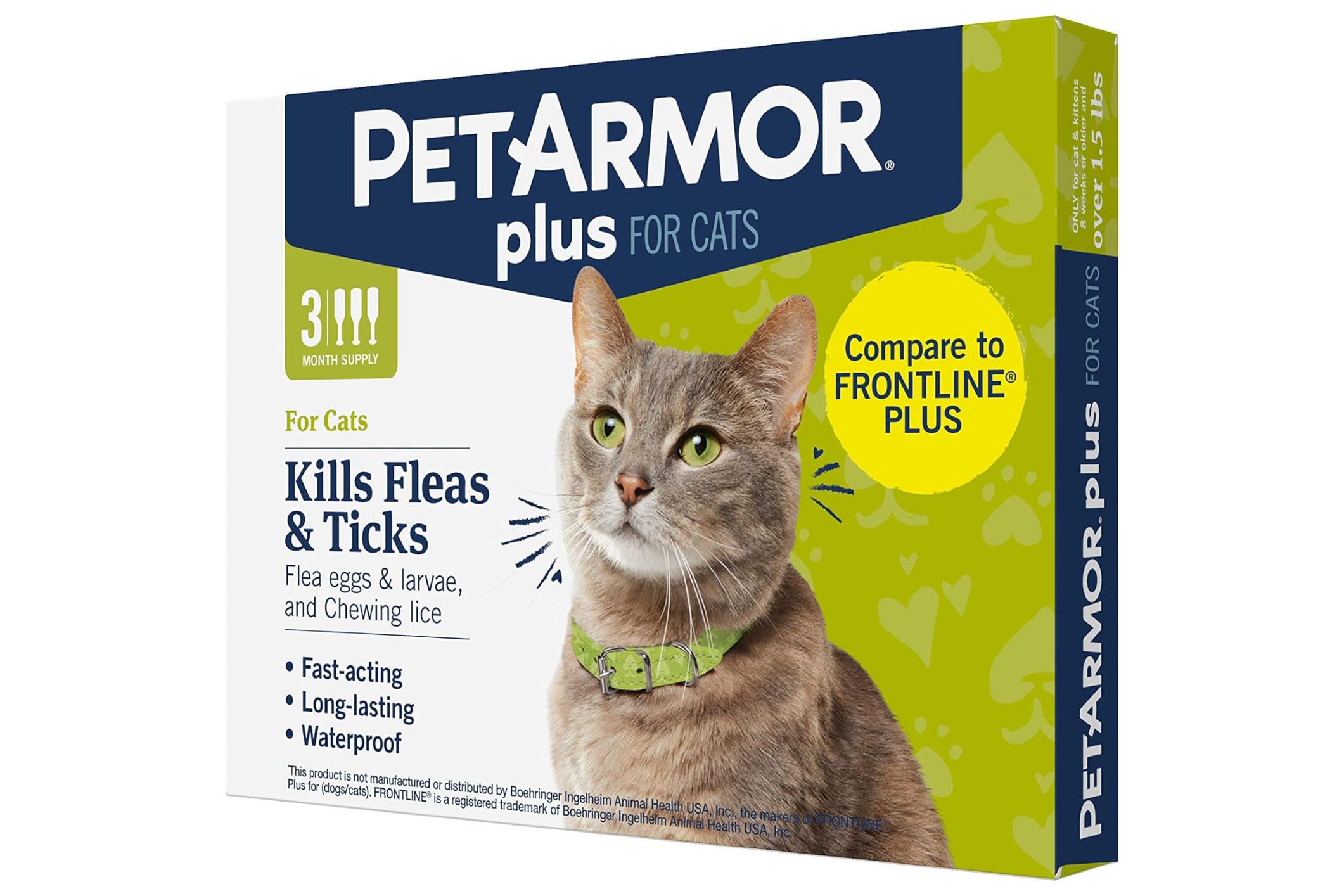 The Best Flea Treatment for Cats of 2024 | PawTracks